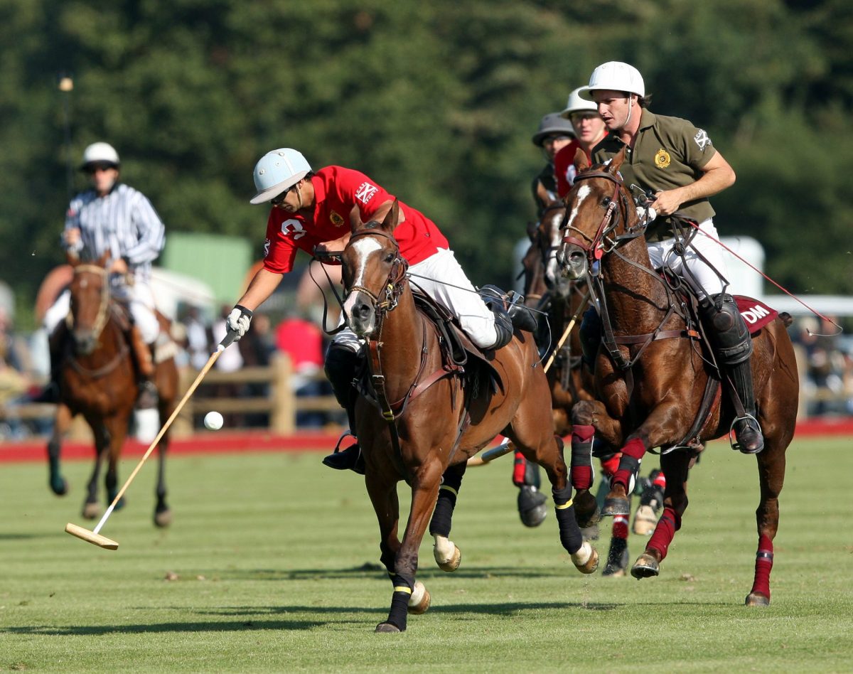 Discover Why Argentina is the Global Leader in Polo and How You Can ...