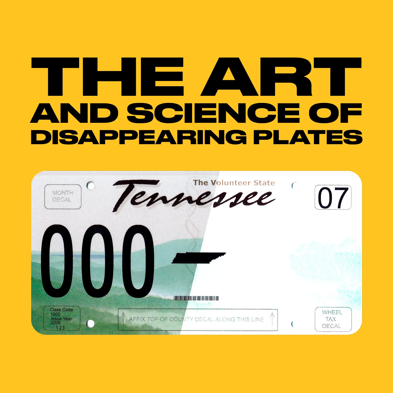 Invisible Innovation: The Art and Science of Disappearing Plates ...