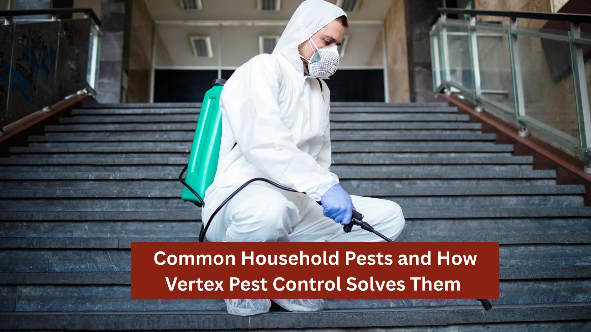 Common Household Pests and How Vertex Pest Control Solves Them ...