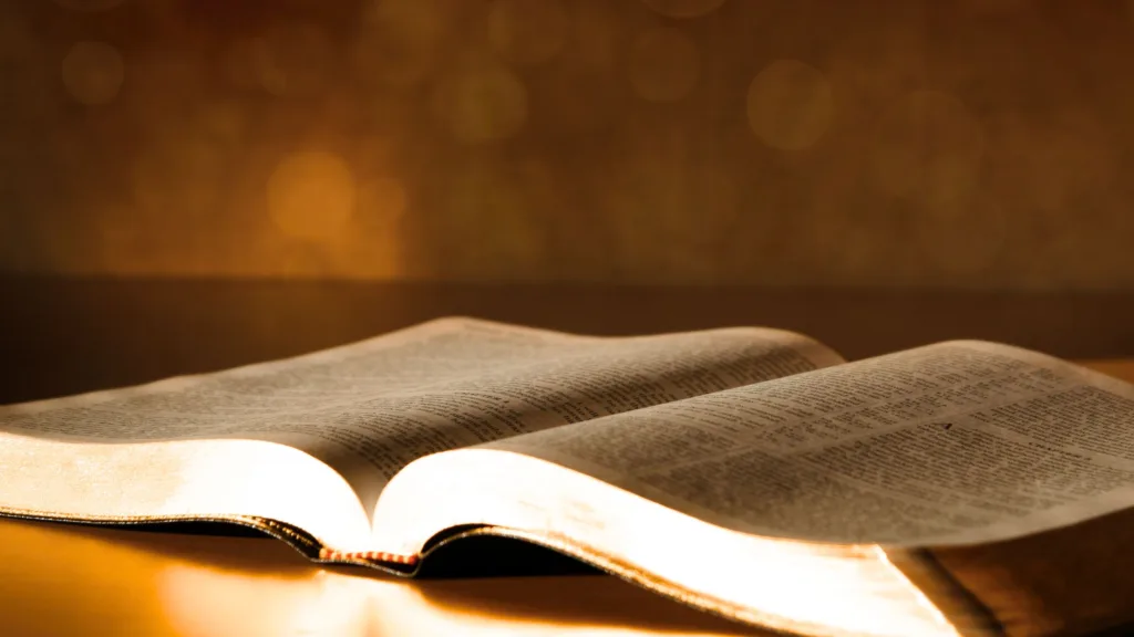 A Beginner-Friendly Bible Study Guide: How to Read Scripture for ...